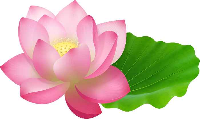 À propos d'Instant Zen